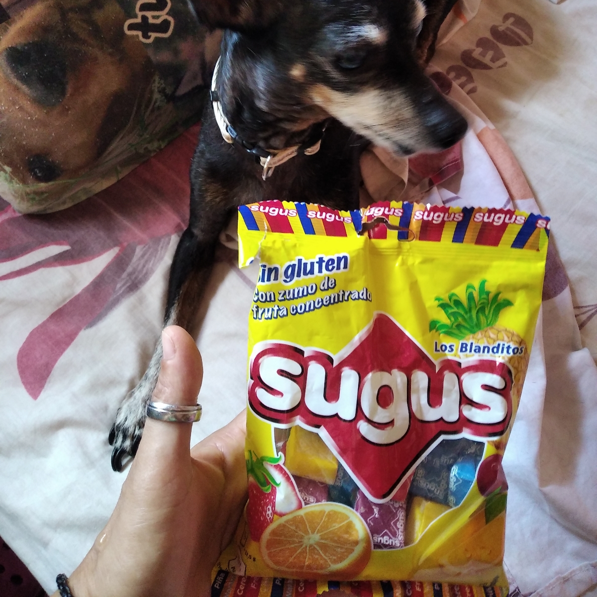 Surtidos from Sugus - Vegan Product Reviews & Ratings | abillion
