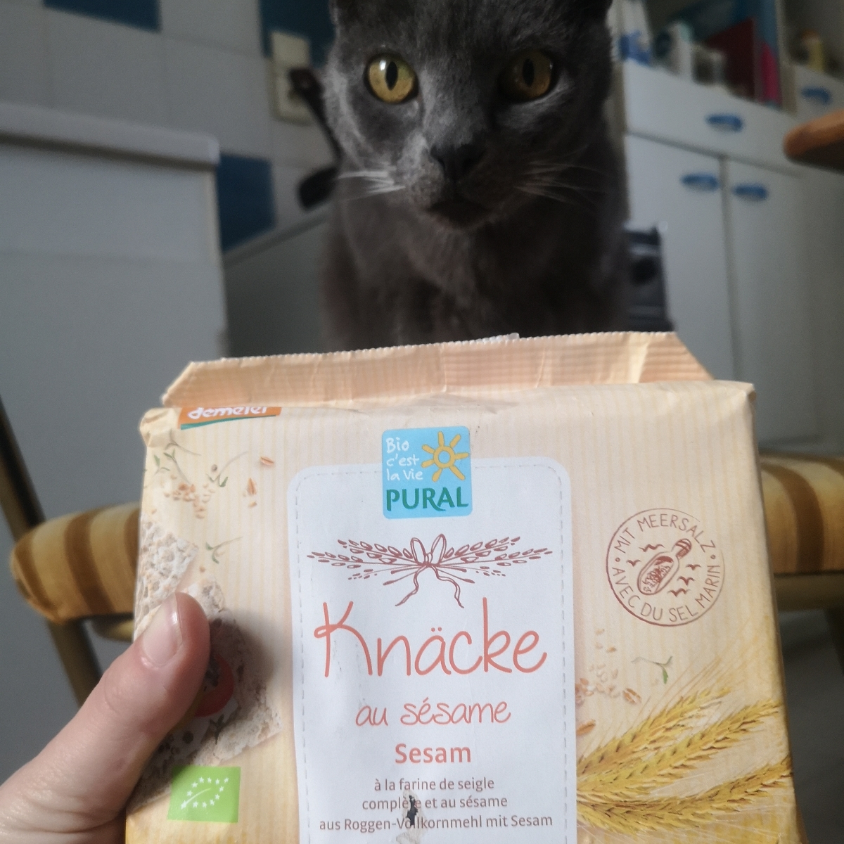 Knacke Sésames from Pural - Vegan Product Reviews & Ratings | abillion