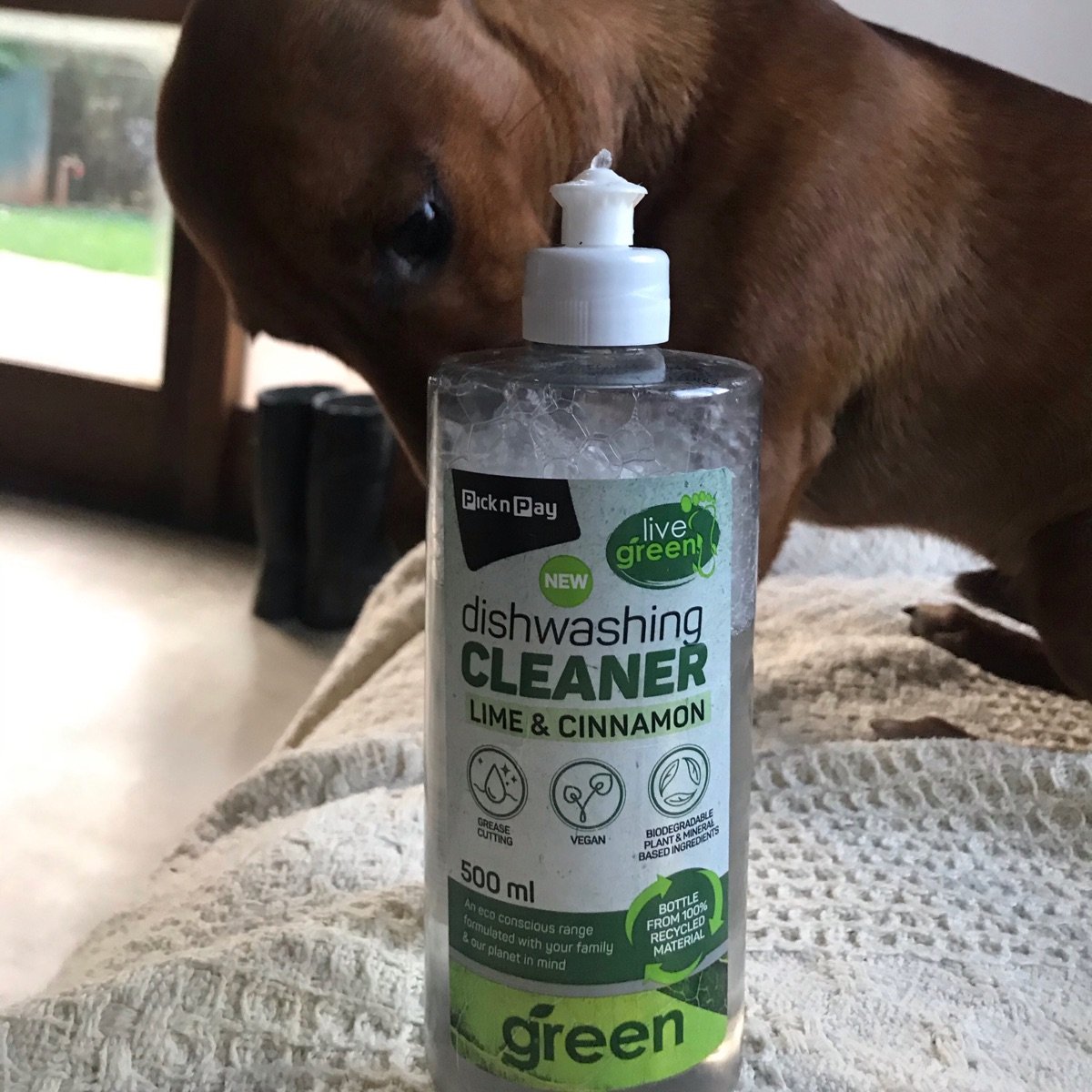 Dishwashing Cleaner from Pick n Pay - Vegan Product Reviews & Ratings ...