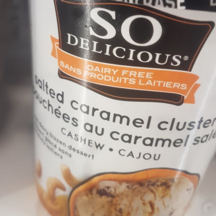 So Delicious Dairy Free Salted Caramel Cluster Cashewmilk Frozen ...