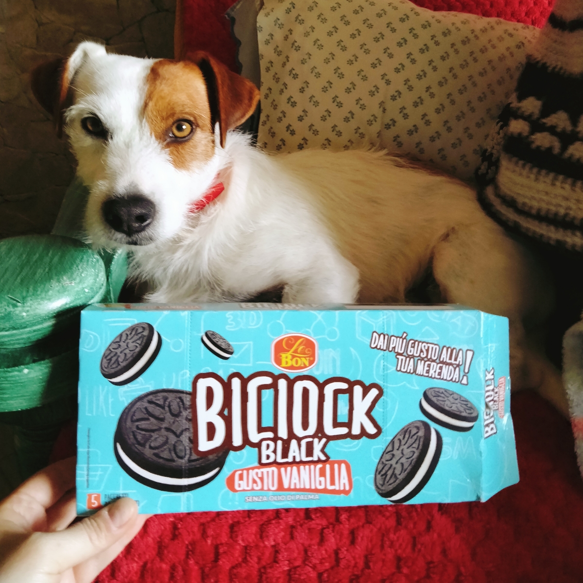 Biciock from Le bon - Vegan Product Reviews & Ratings | abillion