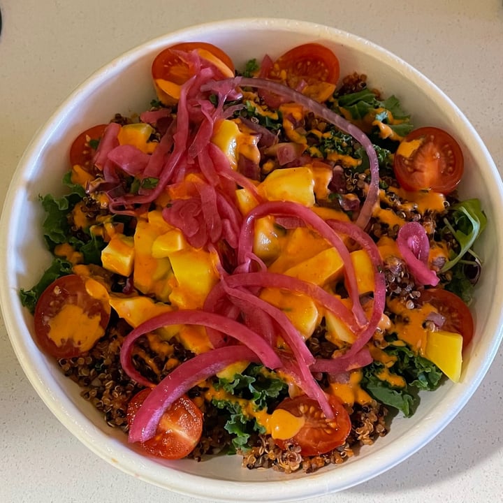 Plantology Far North Central, San Antonio, United States Rainbow Mango ...