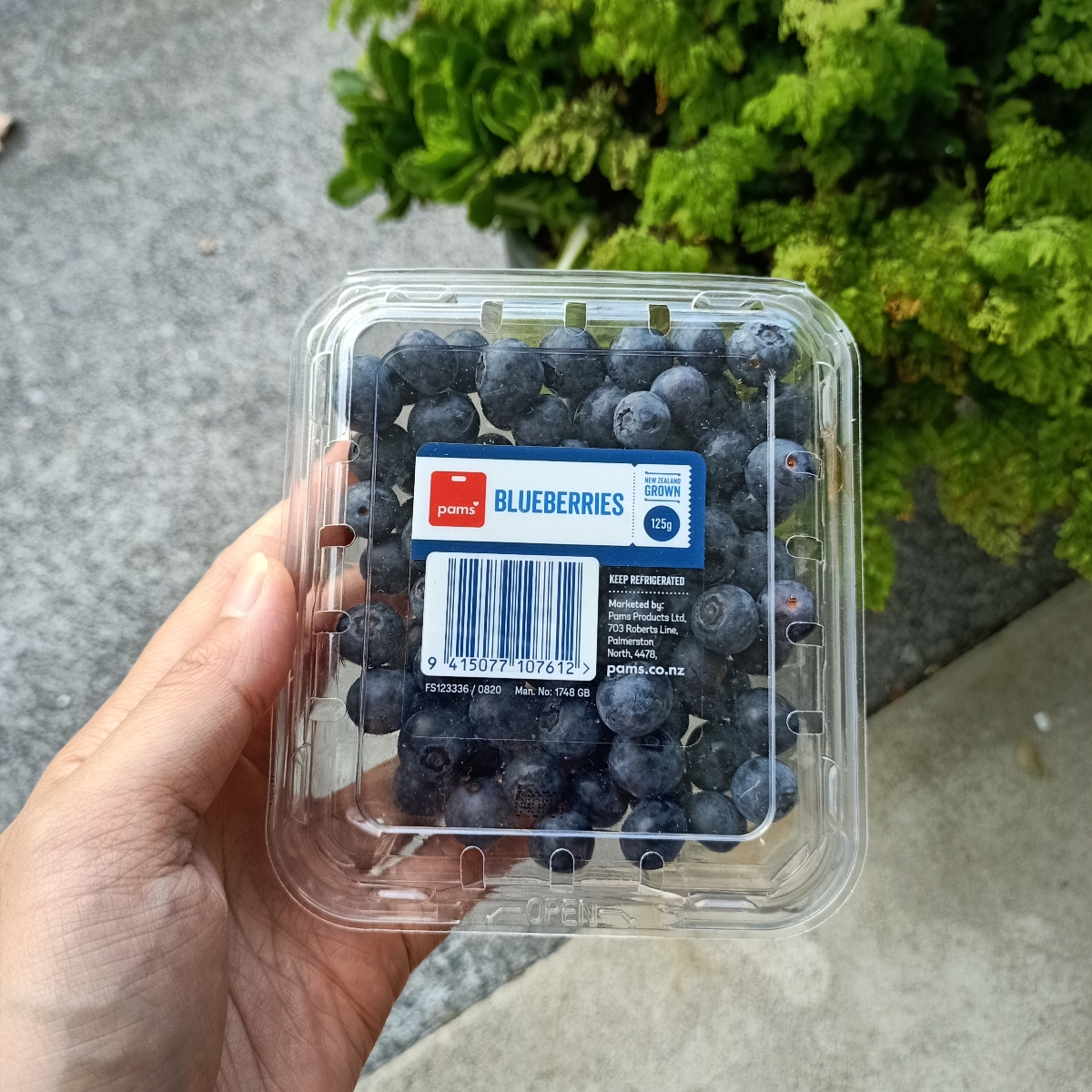 Blueberries 125g from Pams - Vegan Product Reviews & Ratings | abillion