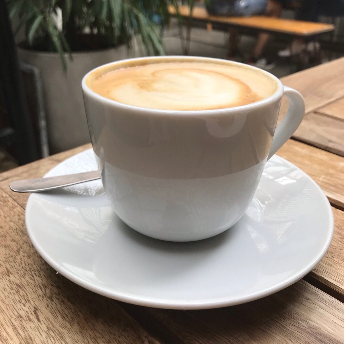 Latte Reviews | abillion