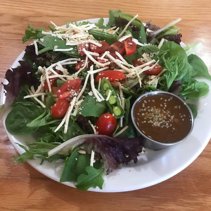 Bonobo's Foods Thunder Bay, Canada Savoury Salad Review | abillion