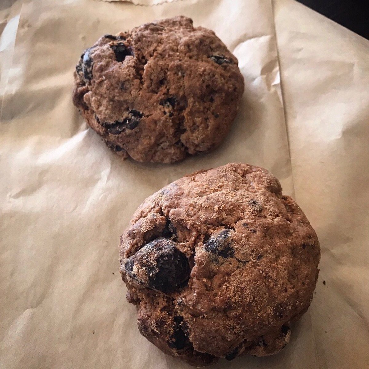 Chewy Gooey Choc Chip Cookie from Dolce Bakery - Vegan Product Reviews ...