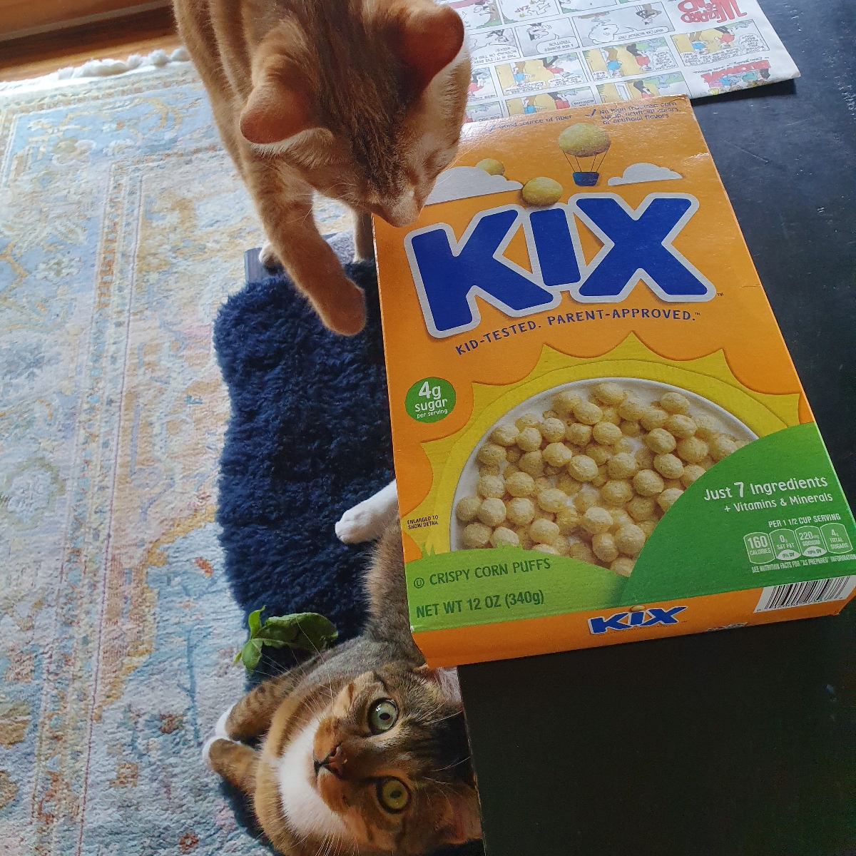 Kix from General Mills - Vegan Product Reviews & Ratings | abillion