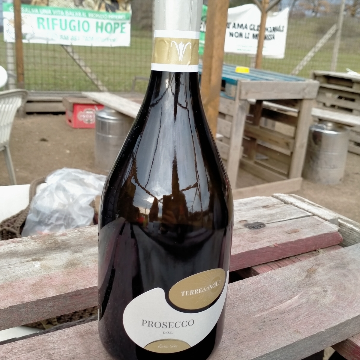 Prosecco from Terre del sole - Eurospin - Vegan Product Reviews ...