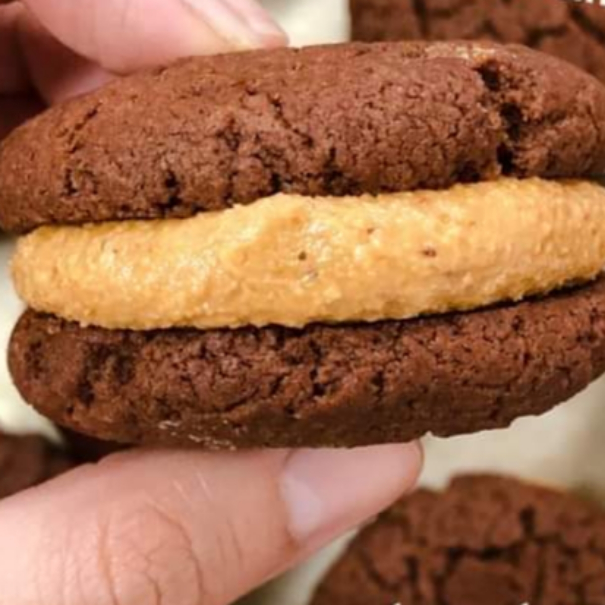 Chocolate & Peanut Butter Sandwich Cookie from Narcisa Vegan Bakery ...