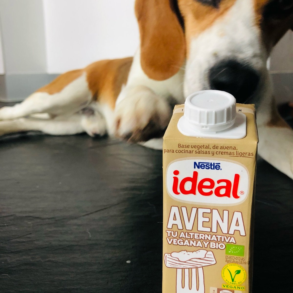 Nestlé Crema de avena Reviews | abillion