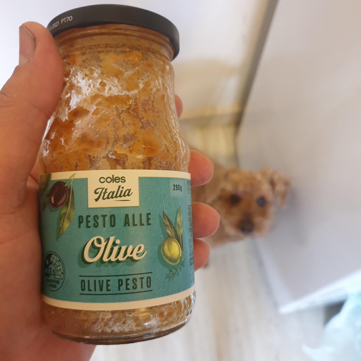 Coles Italia Olive Pesto from Coles - Vegan Product Reviews & Ratings ...