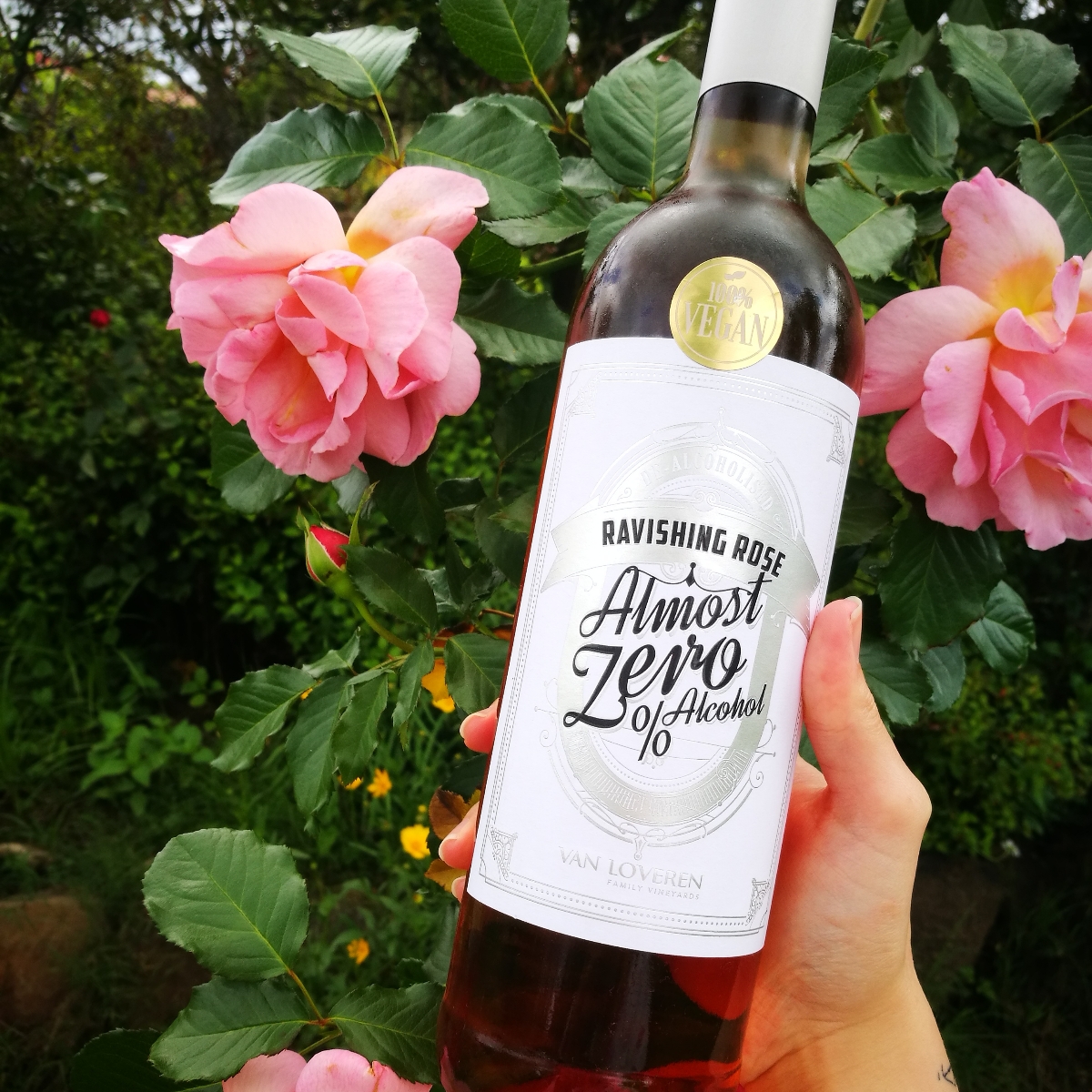 Avaliações de Ravishing Rose da Almost Zero % Alcohol | abillion