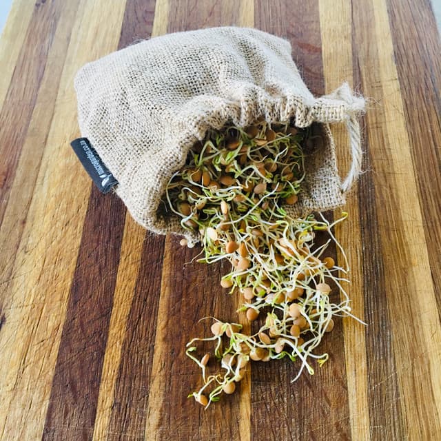 Reseñas de Reusable Sprout Bag por Microgarden | abillion