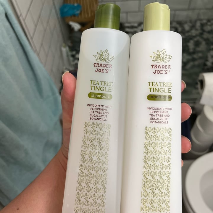 Trader Joe's Tea Tree Tingle Shampoo Review | abillion