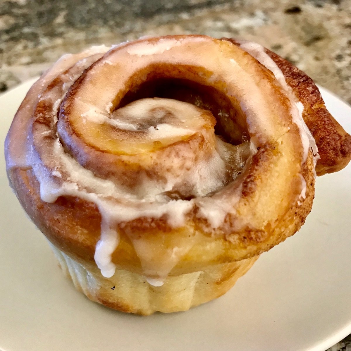 Cinnamon Roll from Shoofly Vegan Bakery - Vegan Product Reviews ...