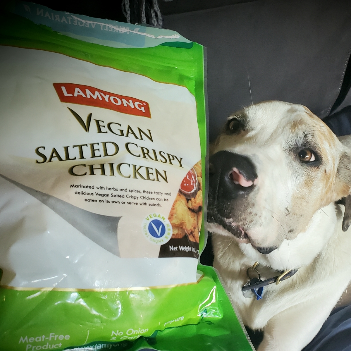 Vegan Salted Crispy Chicken from Lamyong - Vegan Product Reviews ...