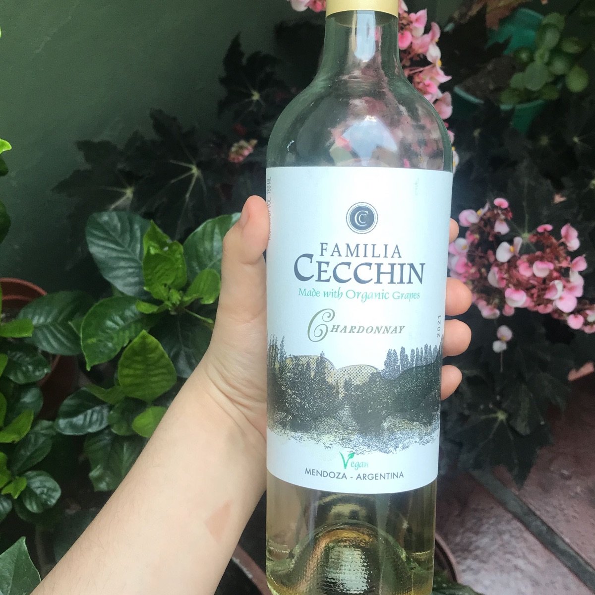 Vino Organico Blanco from Familia Cecchin - Vegan Product Reviews ...