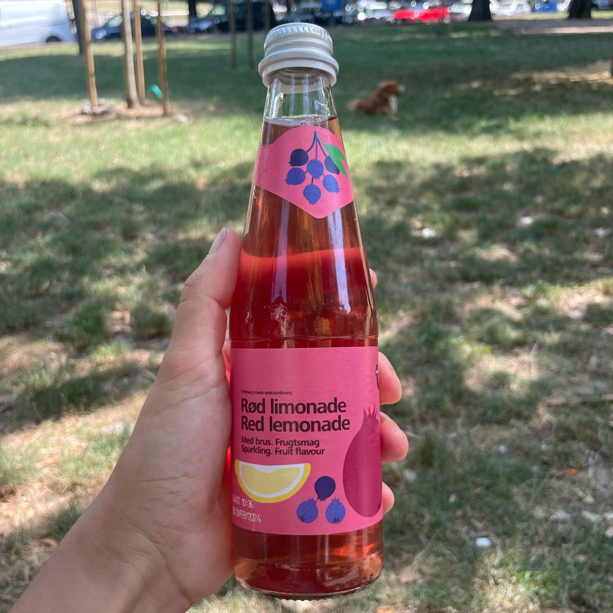 Red lemonade from Flying Tiger - Vegan Product Reviews & Ratings | abillion