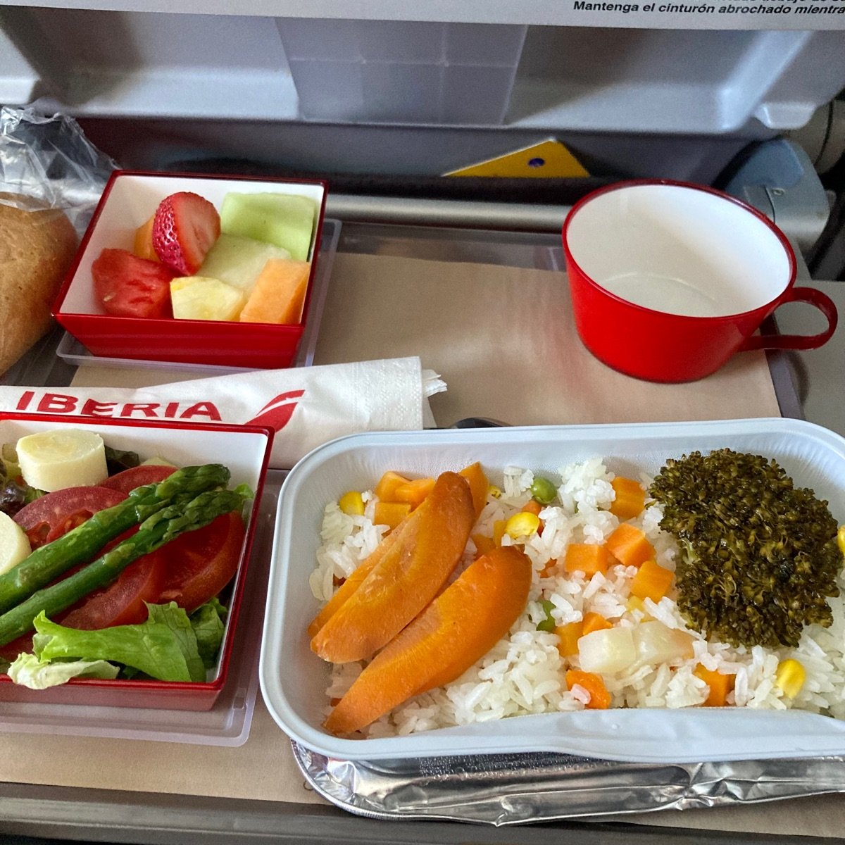 Iberia Vegan Meal Reviews | abillion