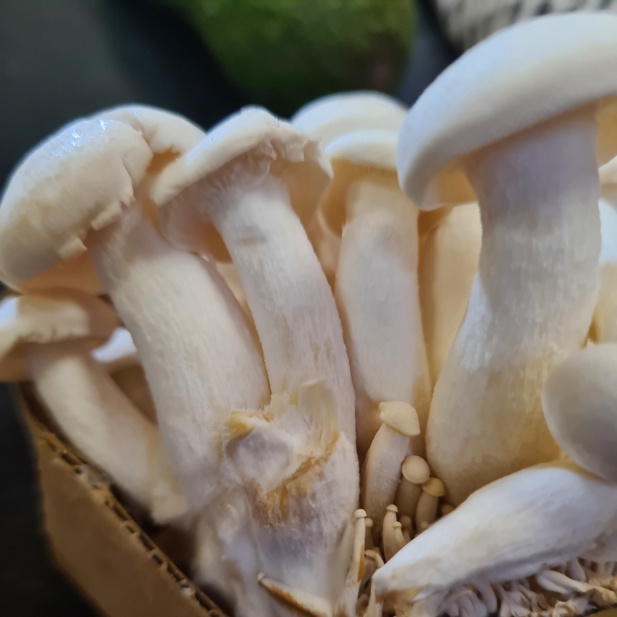 Crafted Collection Shimeji Mushrooms from Pick n Pay - Vegan Product ...