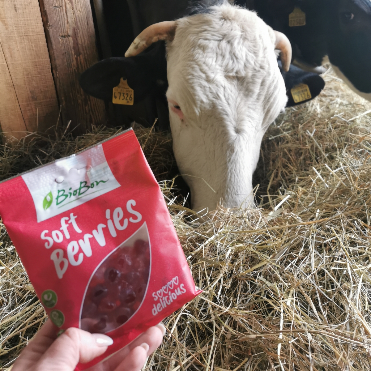 Soft Berries from BioBon - Vegan Product Reviews & Ratings | abillion