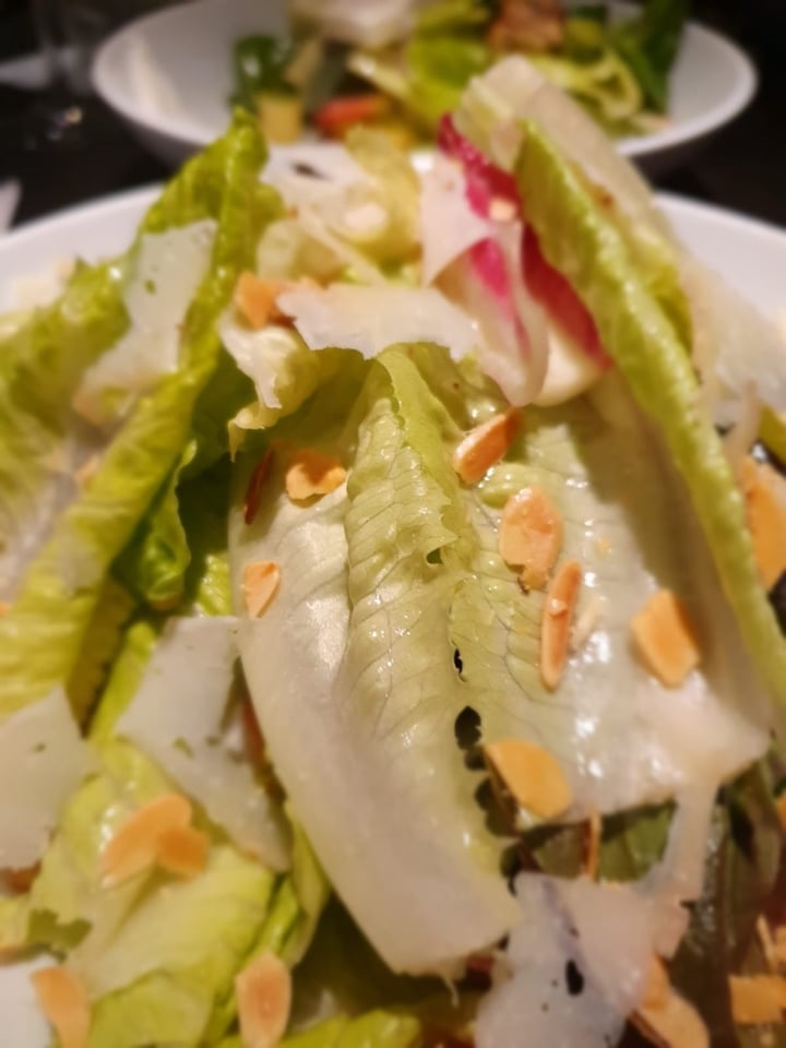 שילה - Shila - by Chef Sharon Cohen Tel Aviv-Yafo, Israel Lettuce Salat ...