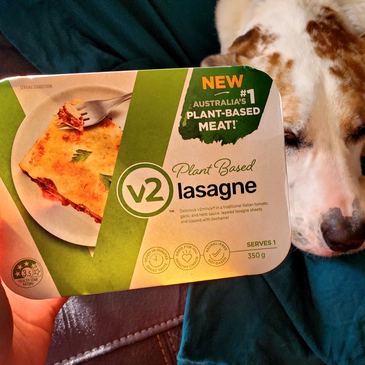 Plant Based Lasagne from V2 Food - Vegan Product Reviews & Ratings ...