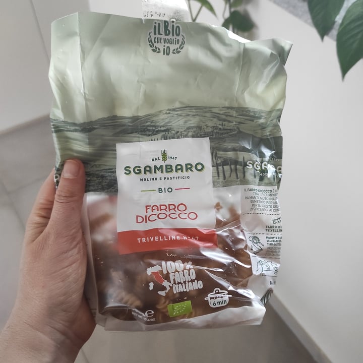 Sgambaro Trivelline Farro di cocco Review | abillion