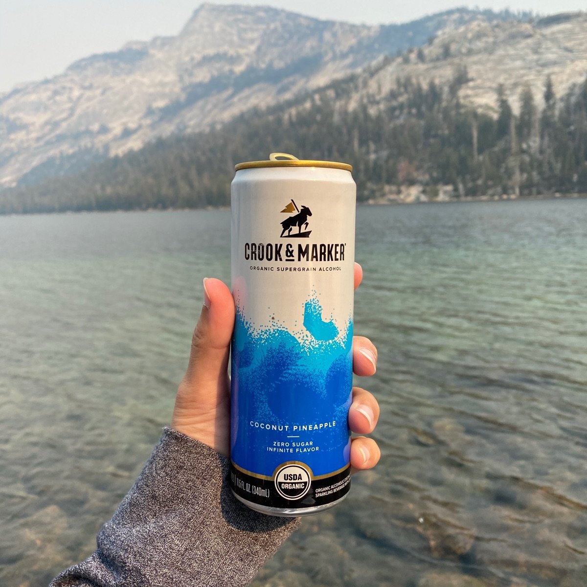 Coconut Pineapple Hard Seltzer from Crook & Marker - Vegan Product ...