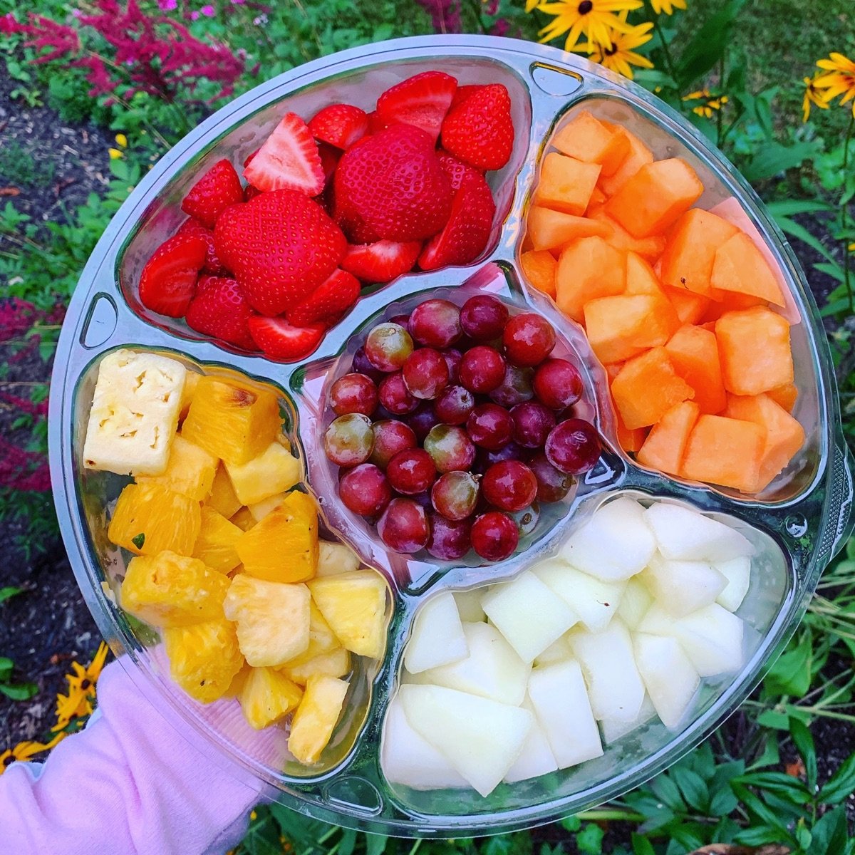 Fruit Platter from Stop and shop - Vegan Product Reviews & Ratings ...