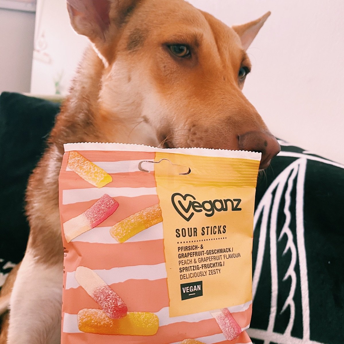 Sour Sticks from Veganz - Vegan Product Reviews & Ratings | abillion