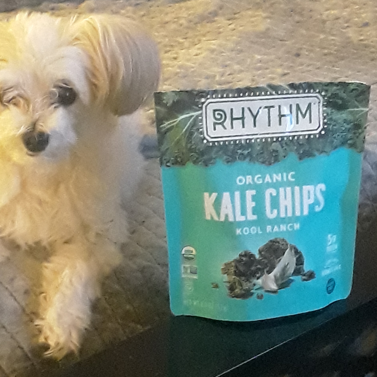 Rhythm Superfoods - Kool Ranch Kale Chips Review | abillion