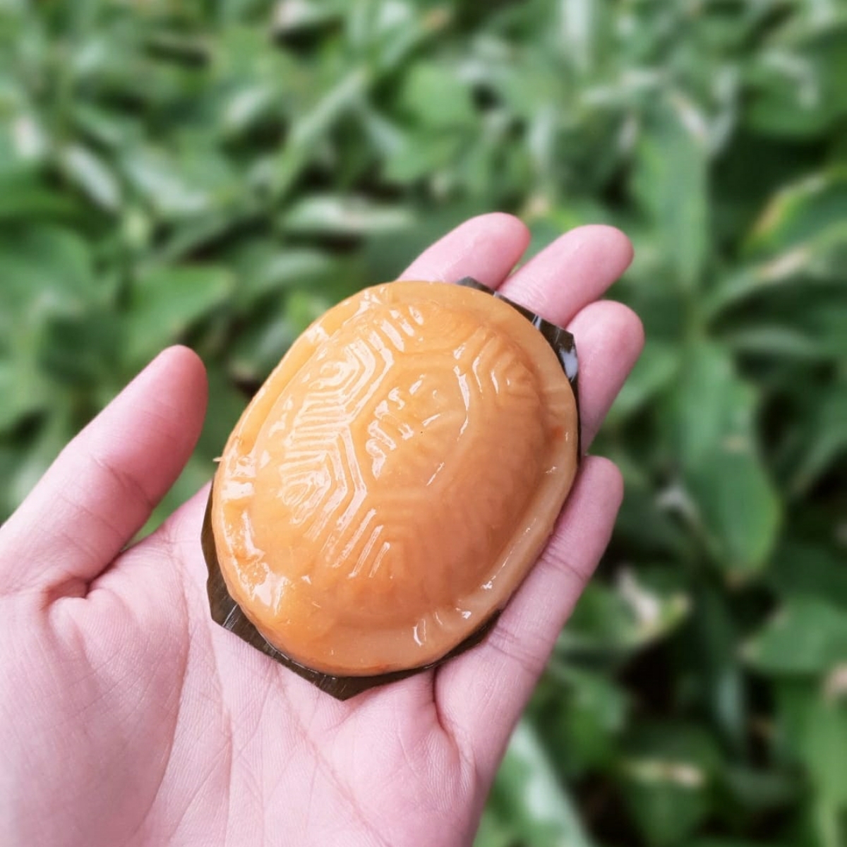 Mung Bean Ang Ku Kueh from Plan K for Kueh - Vegan Product Reviews ...