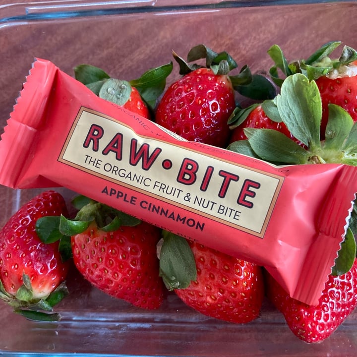 Raw Bite Raw Bite Apple Cinnamon Review | abillion