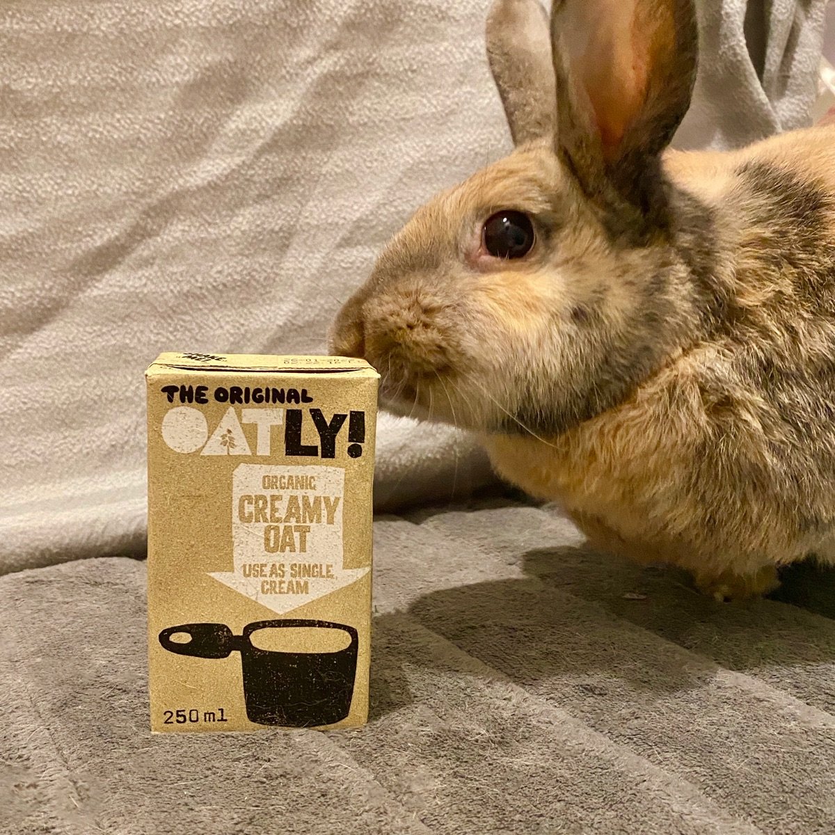 Organic Creamy Oat from Oatly - Vegan Product Reviews & Ratings | abillion