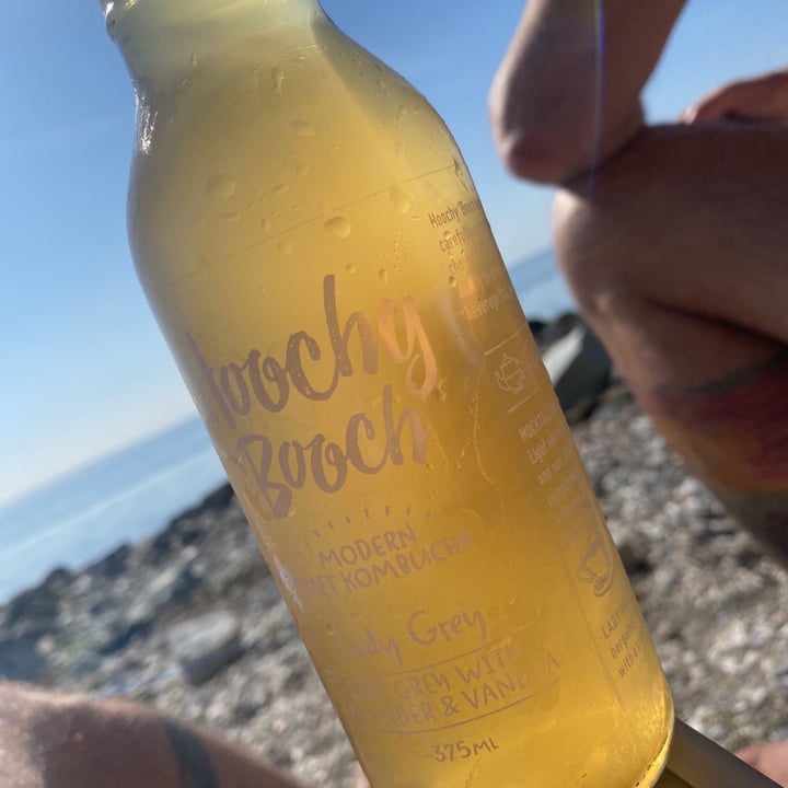 Hoochy booch Lady Grey Kombucha Review | abillion