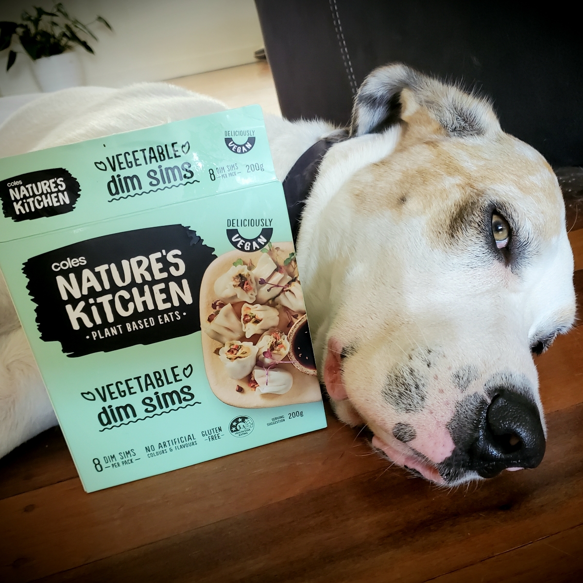 Coles Nature's Kitchen Vegetable Dim Sims Reviews | abillion