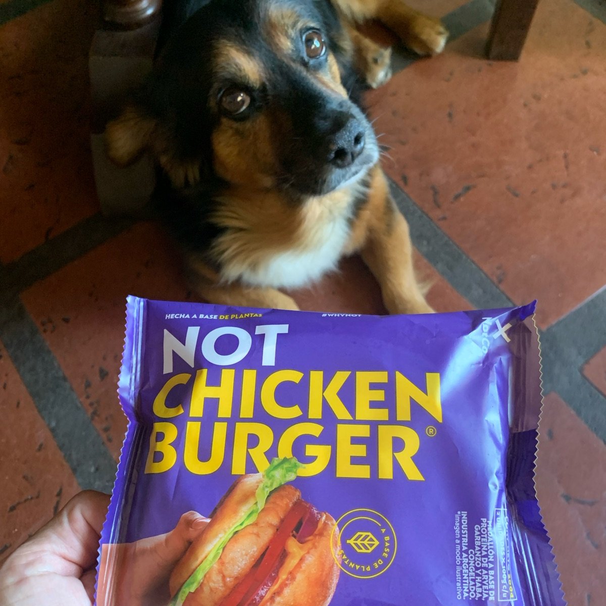 Not Chicken Burger from NotCo - Vegan Product Reviews & Ratings | abillion
