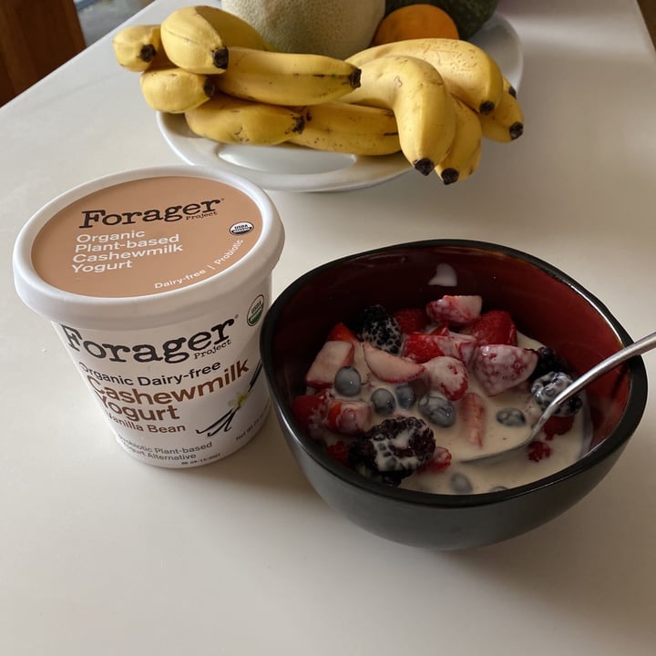 Forager Project Organic Dairy-free Cashewmilk Yogurt Vanilla Bean ...