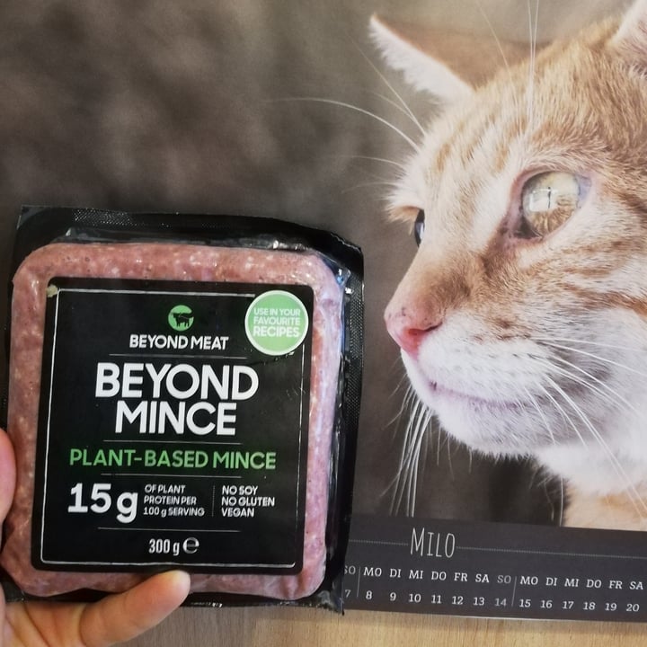 Beyond Meat Beyond mince Review | abillion