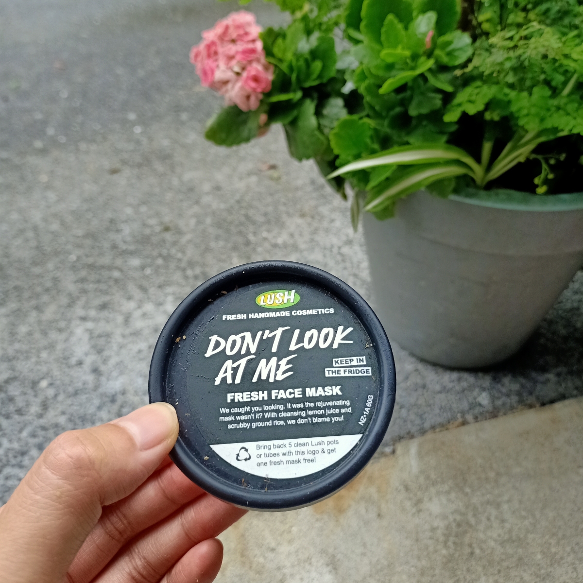 LUSH Fresh Handmade Cosmetics - Don’t look at me Review | abillion