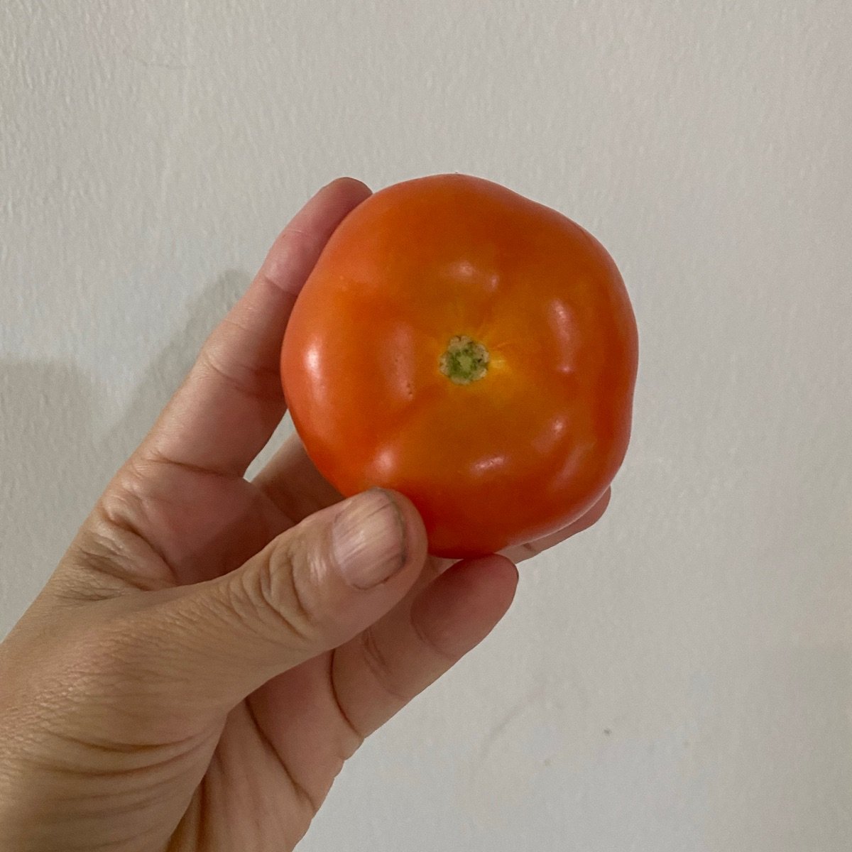 Tomatoes from Prime supermarket - Vegan Product Reviews & Ratings ...