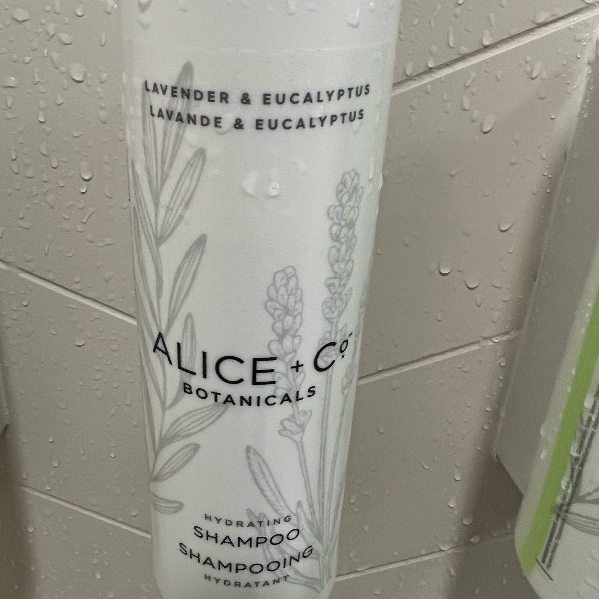Lavender & Eucalyptus Hydrating Shampoo from Alice & Co. Botanicals ...