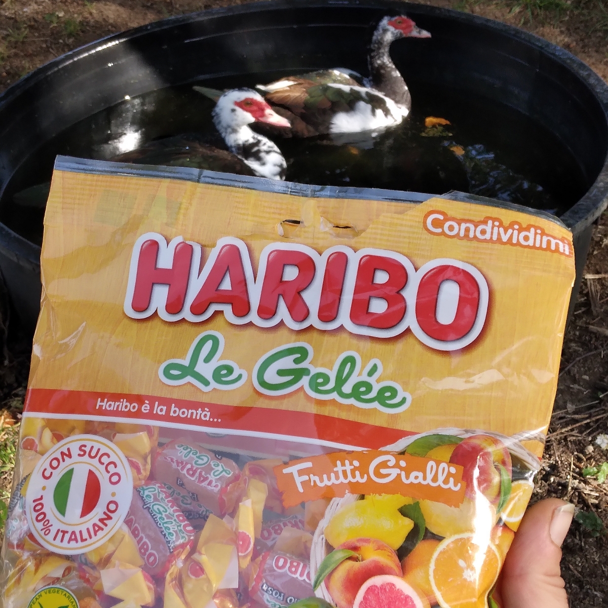 Le gelée Frutti Gialli from Haribo - Vegan Product Reviews & Ratings ...