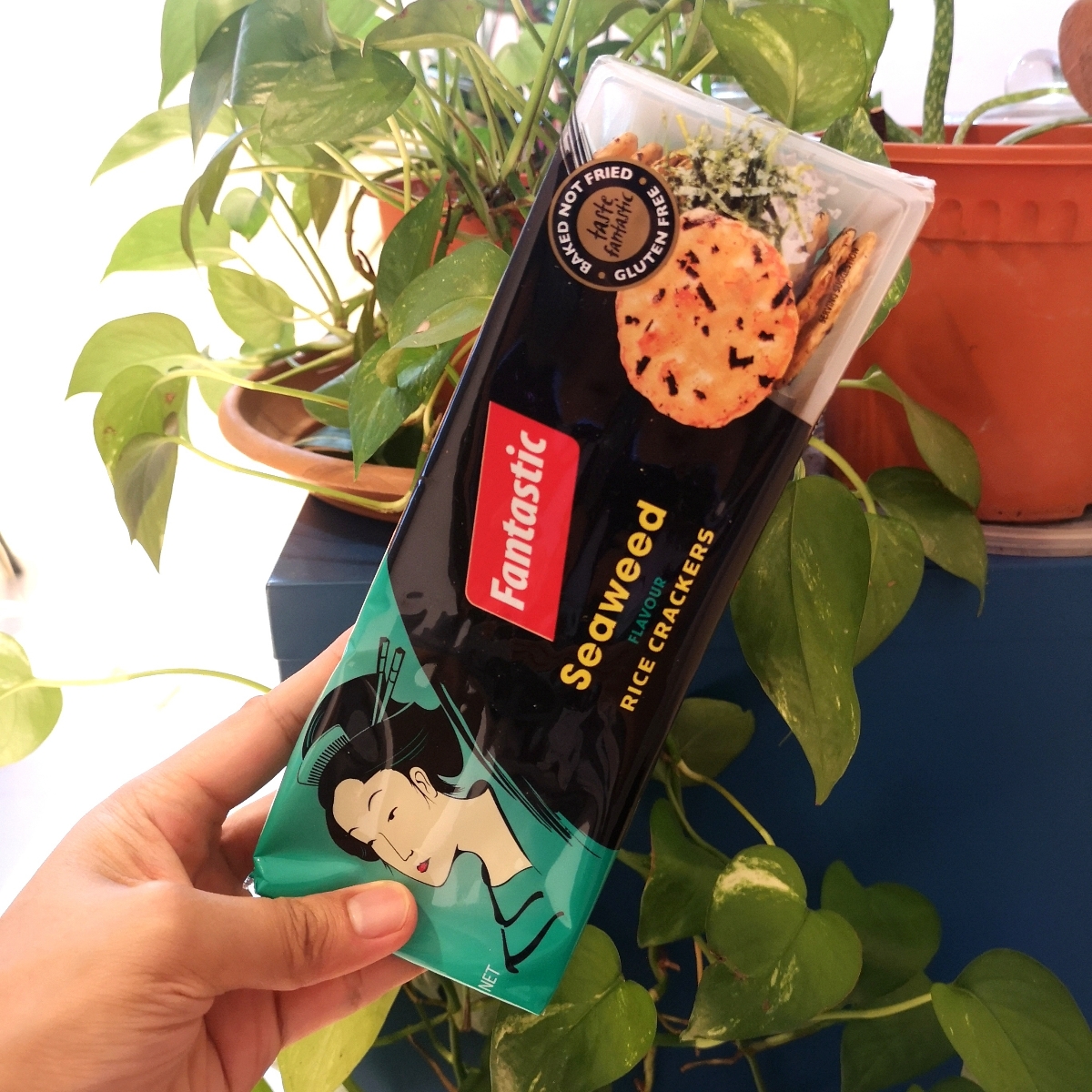 Seaweed Rice Crackers from Fantastic - Vegan Product Reviews & Ratings ...