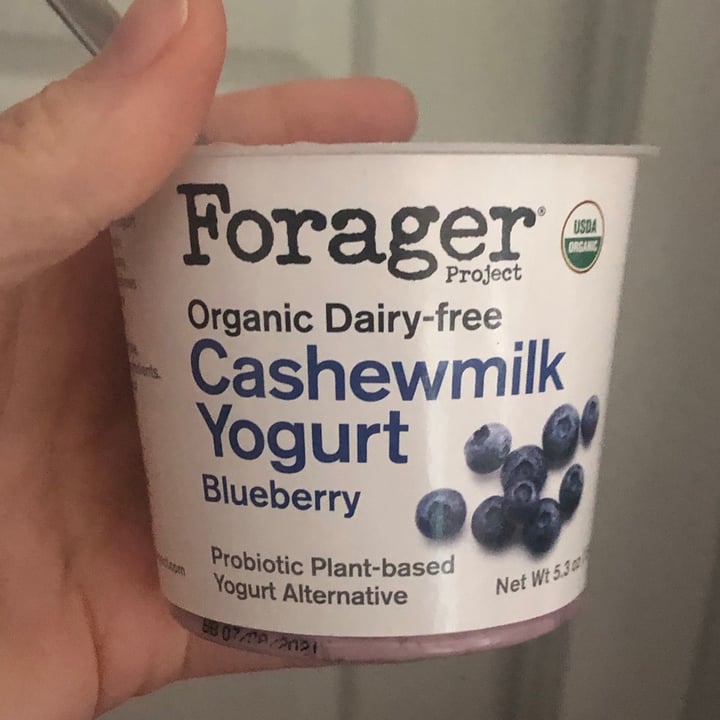 Forager Project Organic Dairy-free Cashewmilk Yogurt Blueberry Review ...