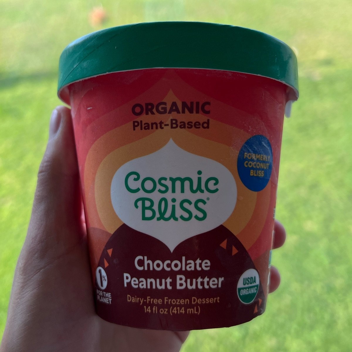 chocolate peanut butter plant-based ice cream from Cosmic Bliss - Vegan ...