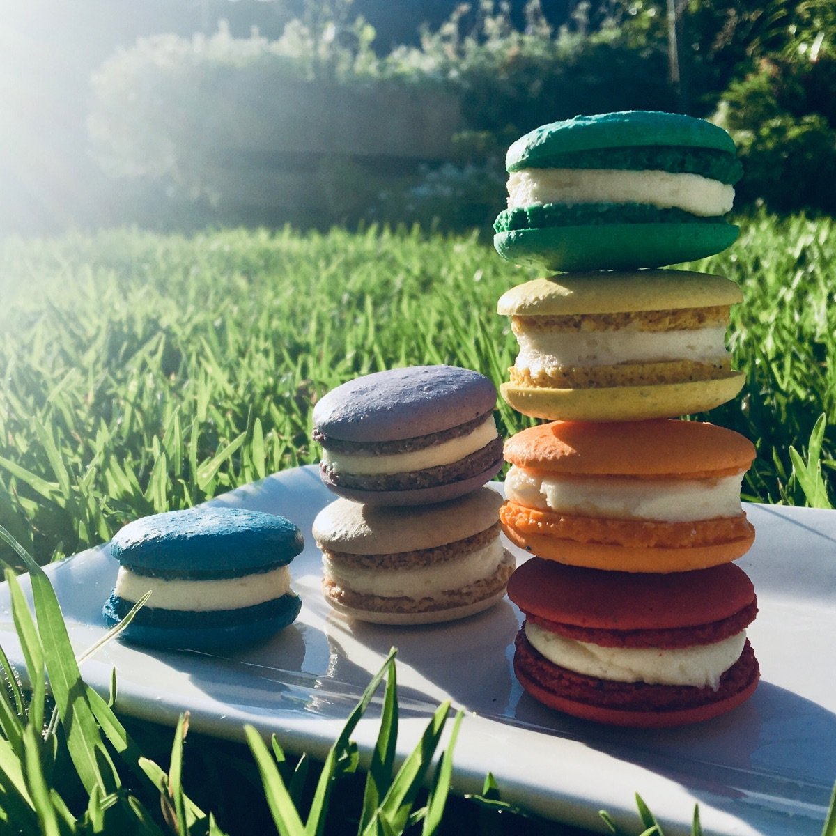 Rainbow macarons from The Nibbling Rhino - Vegan Product Reviews ...