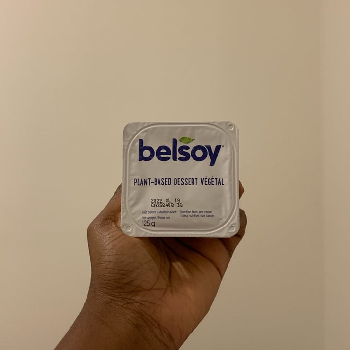 Belsoy Vanilla Pudding Review | abillion