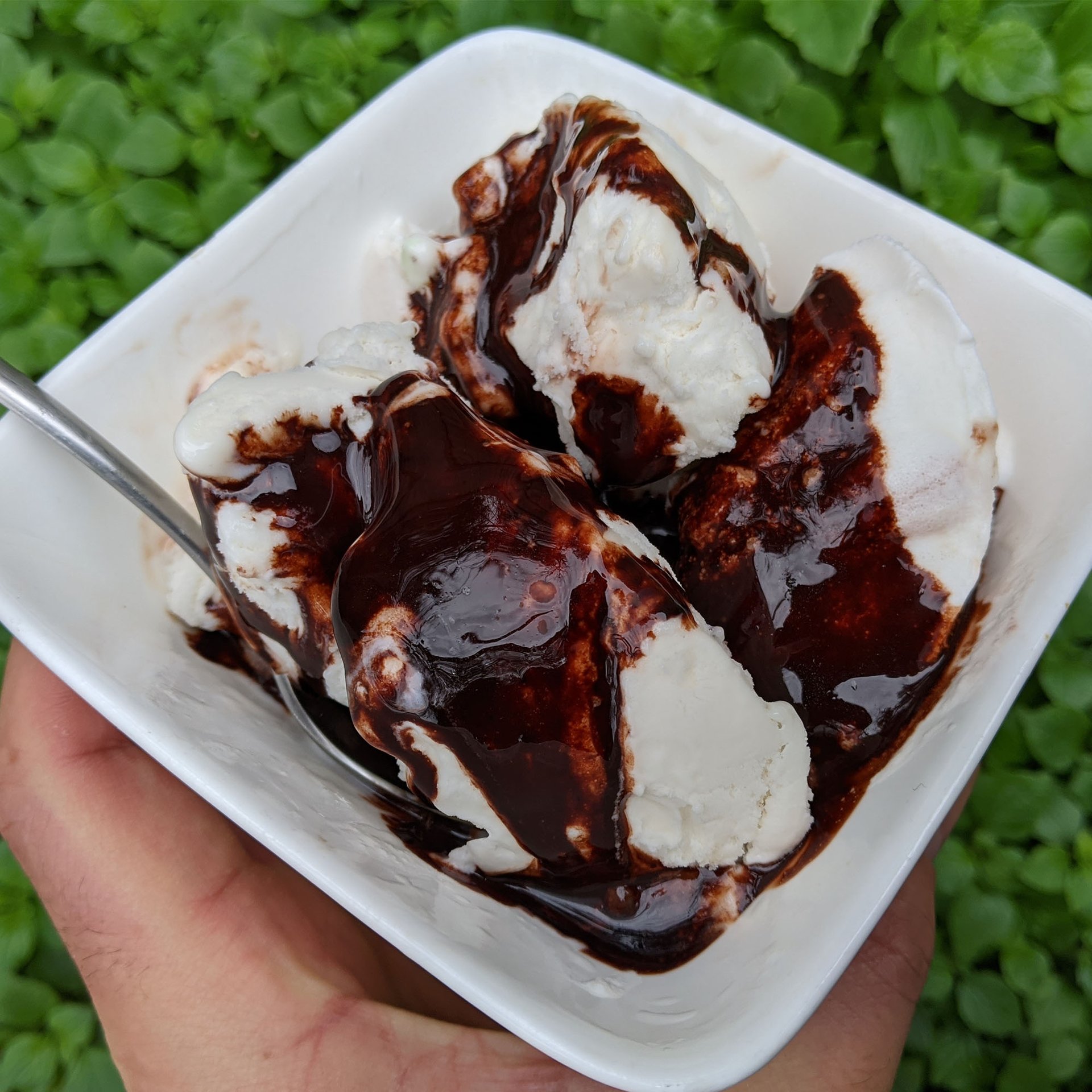 Plant Based Vanilla from Peters - Vegan Product Reviews & Ratings ...